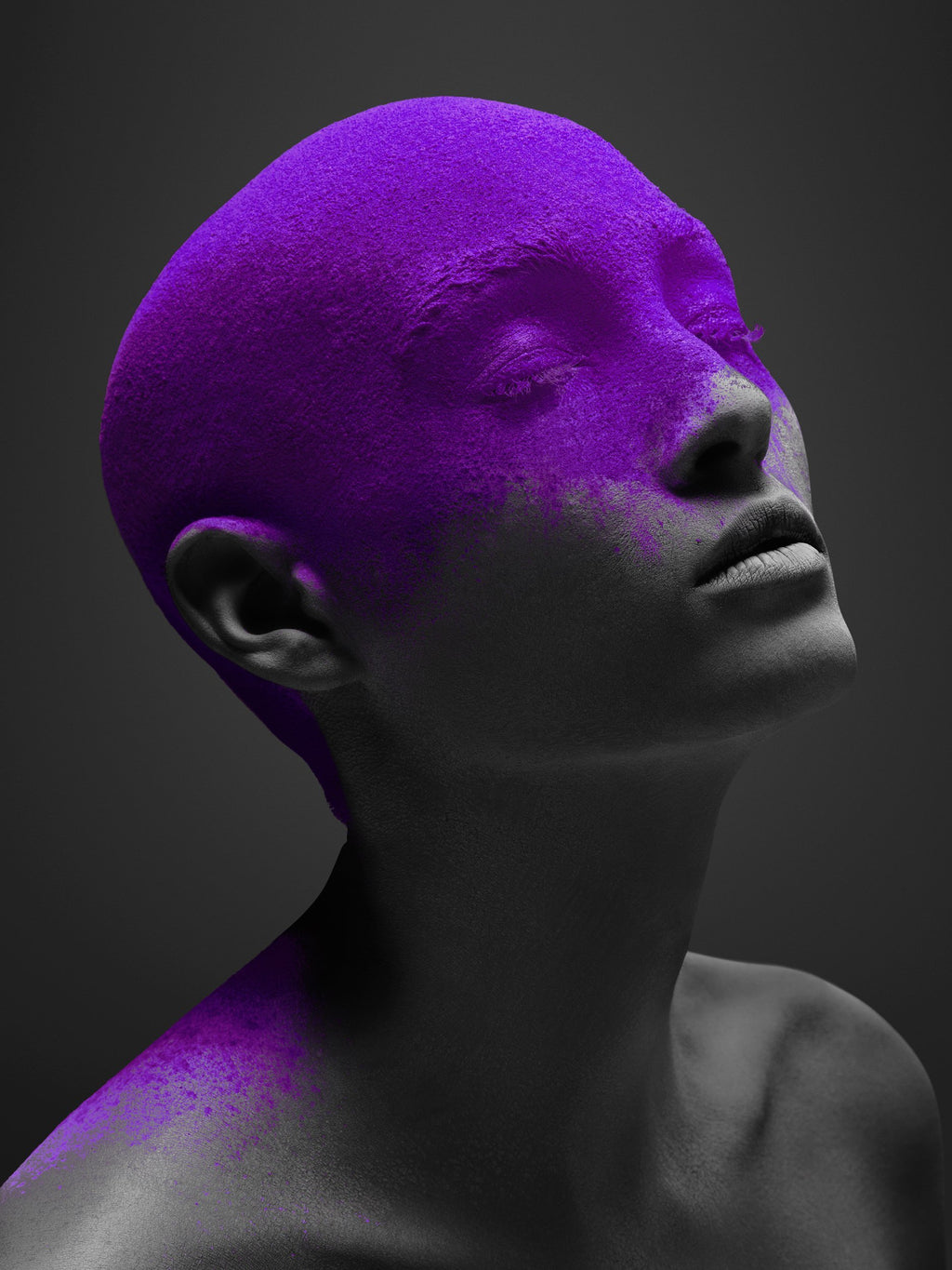 Purple State – Avant Gallery